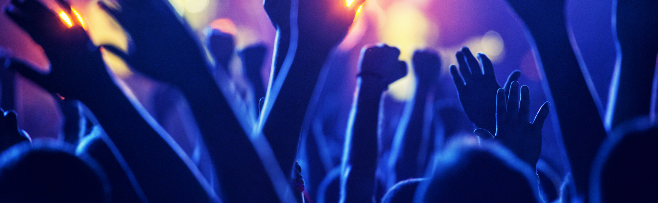 Swifties: Bridging Divides in a Fragmented World - Center for Creative ...